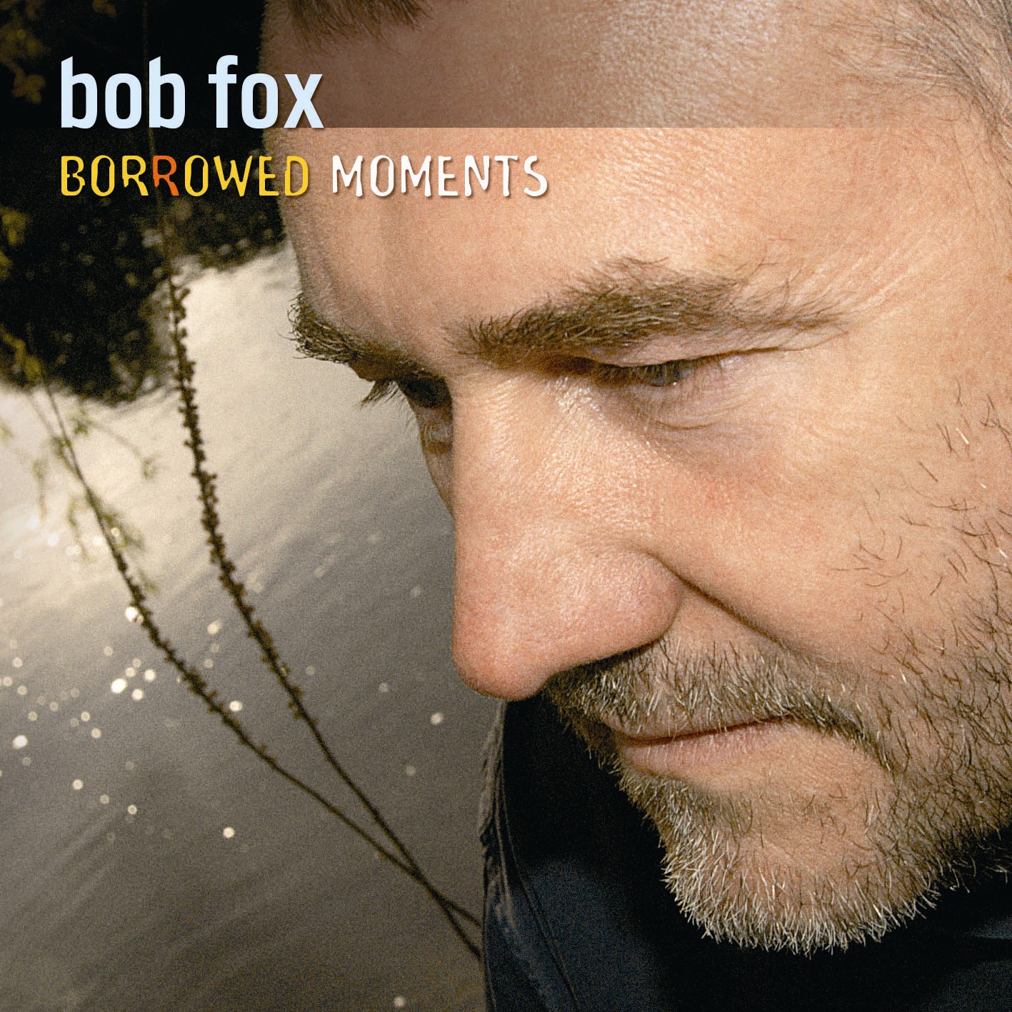 bob fox